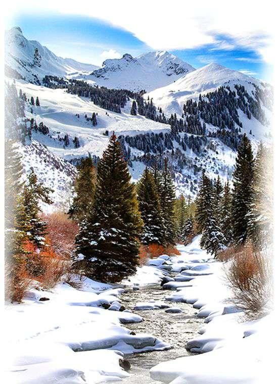 Panels – Friends and Co. Quilt Shop